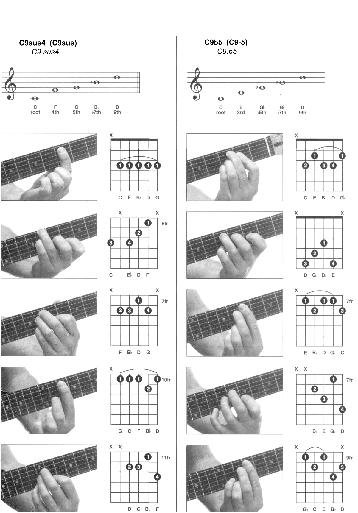 Akordi za Gitaru skola gitare časovi Novi Sad