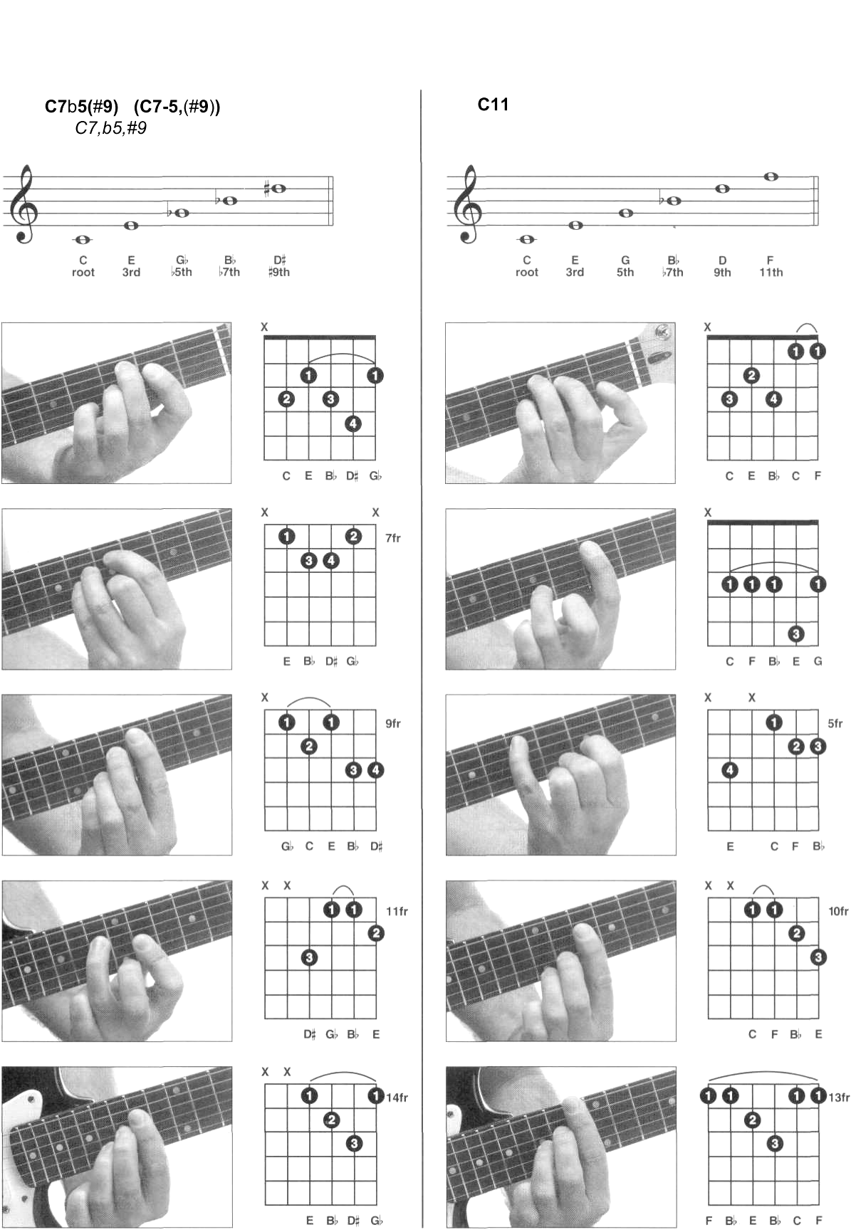 Akordi za Gitaru skola gitare časovi Novi Sad