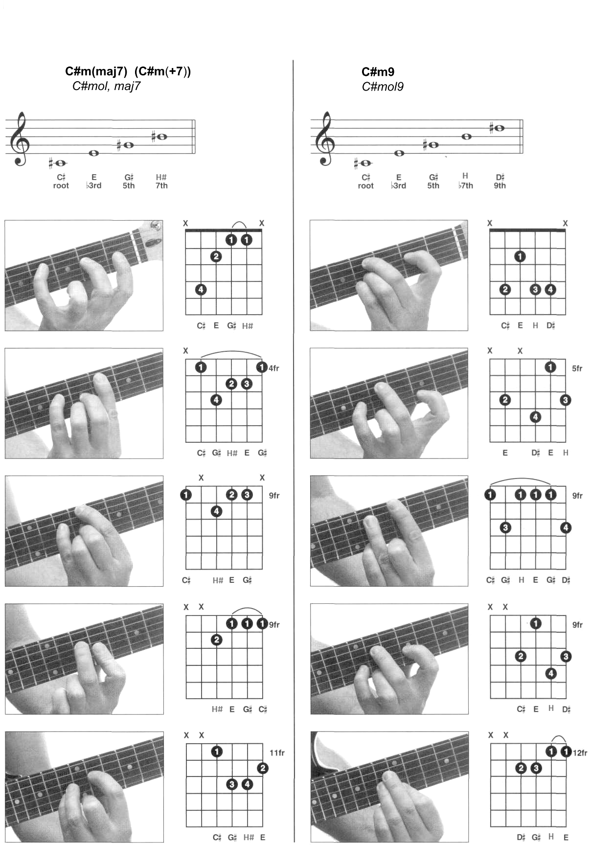 Akordi za Gitaru skola gitare časovi Novi Sad