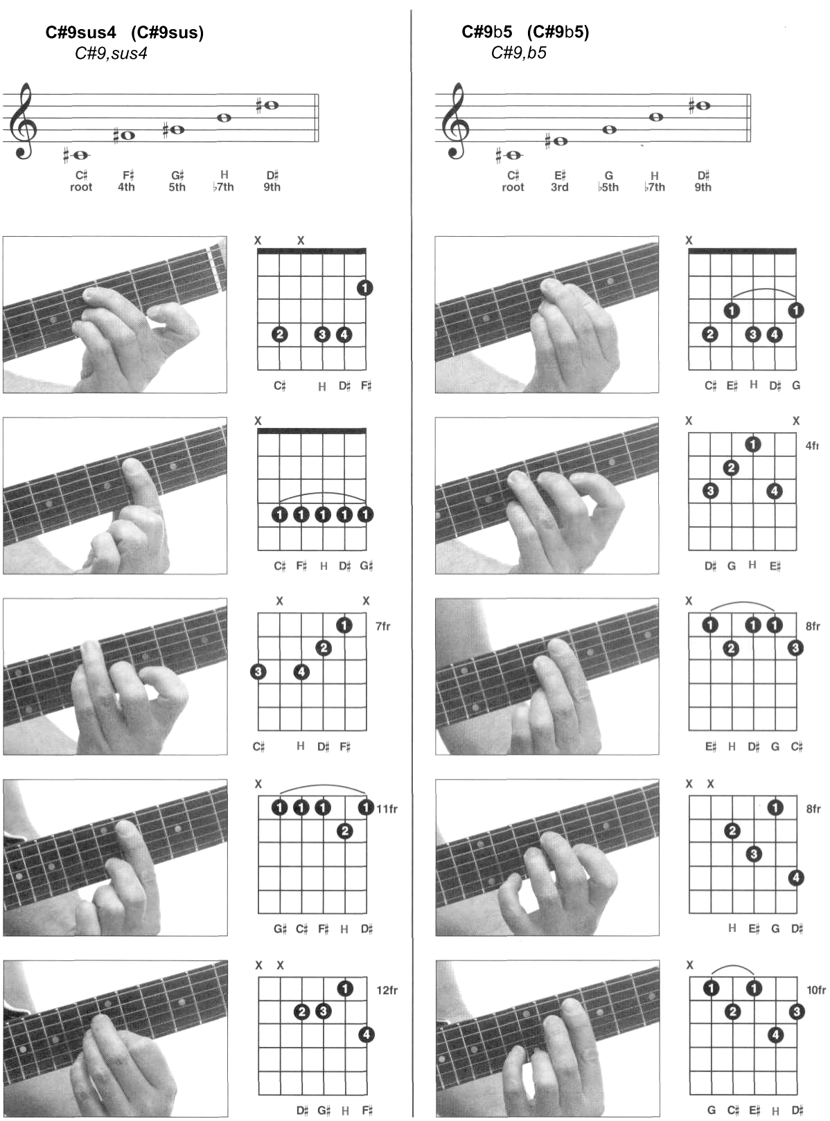 Akordi za Gitaru skola gitare časovi Novi Sad